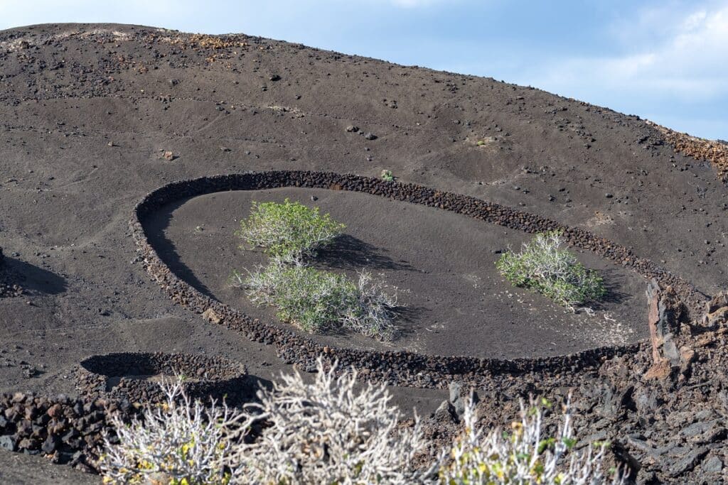 Le parc national de Timanfaya à Lanzarote : visite incontournable