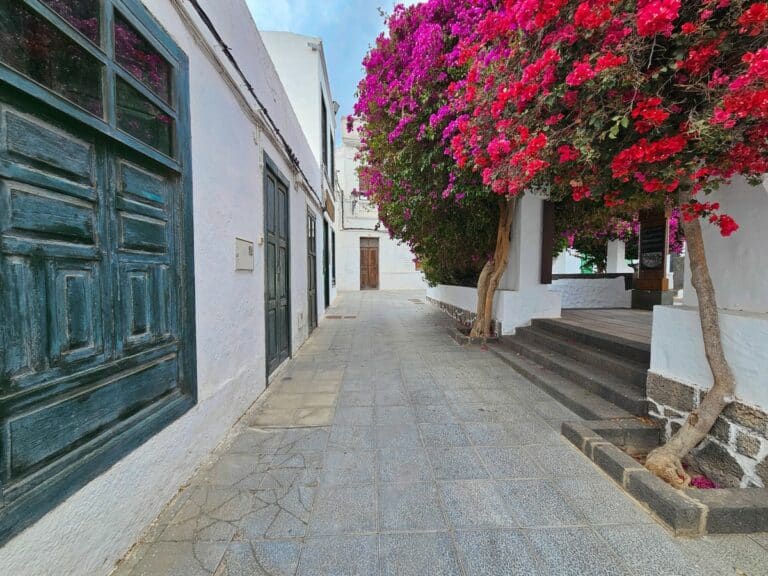 Haria à Lanzarote : 8 choses incontournables