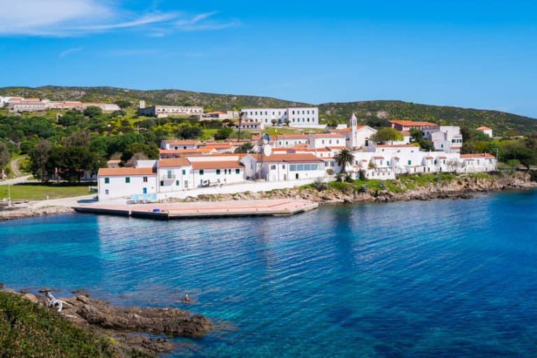 L'Asinara : comment venir, comment se déplacer et que voir sur l'île