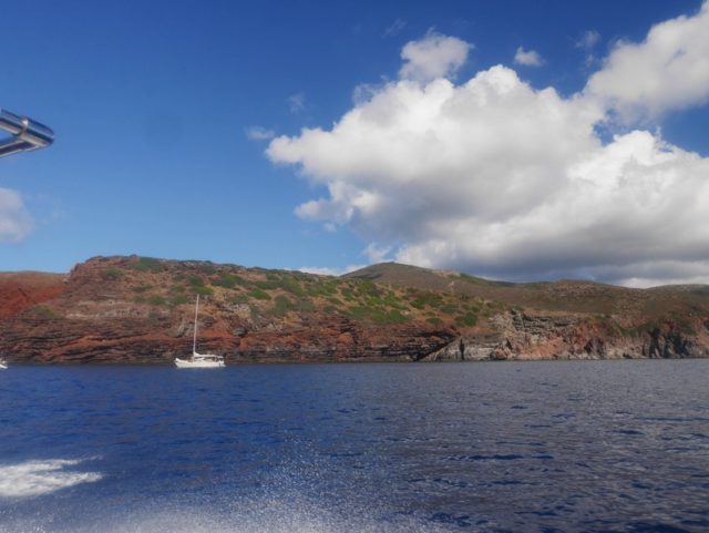 Visiter Capraia : une magnifique île de l'archipel Toscan