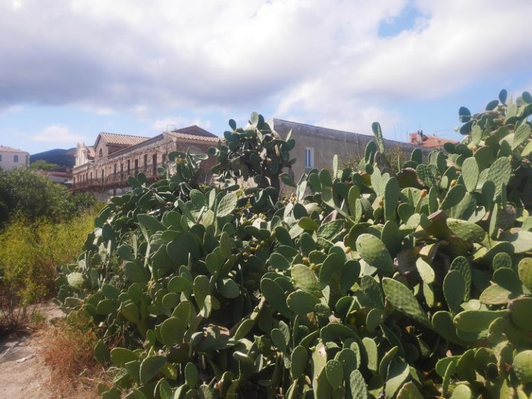 Visiter Capraia : une magnifique île de l'archipel Toscan