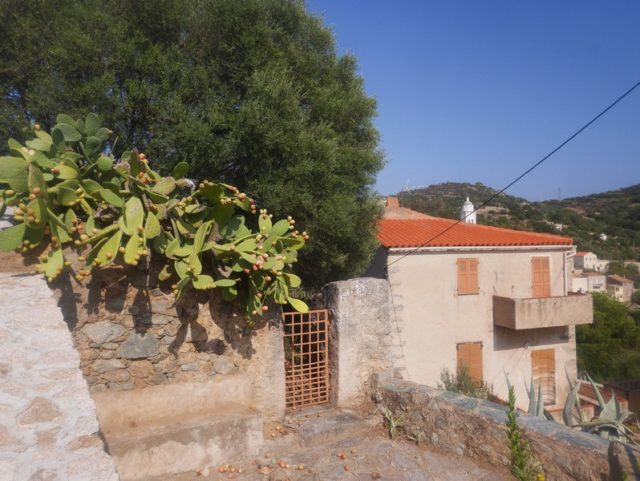 Visiter Corbara : maisons traditionnelles et vues à couper le souffle