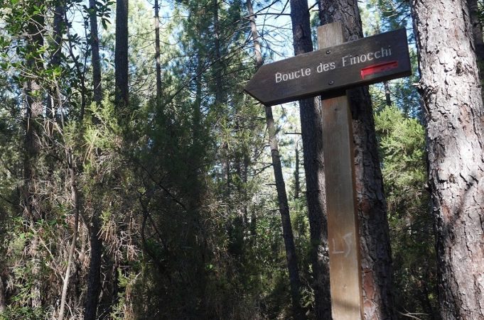 Forêt de Bonifato : randonnées, rivière et baignade – Bouger & Voyager