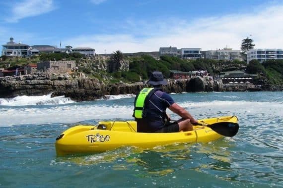 Hermanus : que faire (en plus de l'observation des baleines)