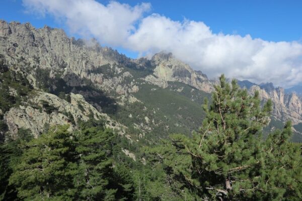 Route de Bavella : un trajet parsemé de pépites