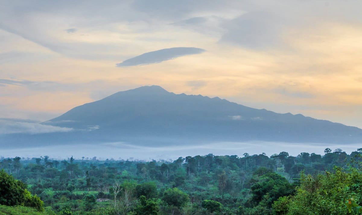 Cameroun – Bouger et Voyager