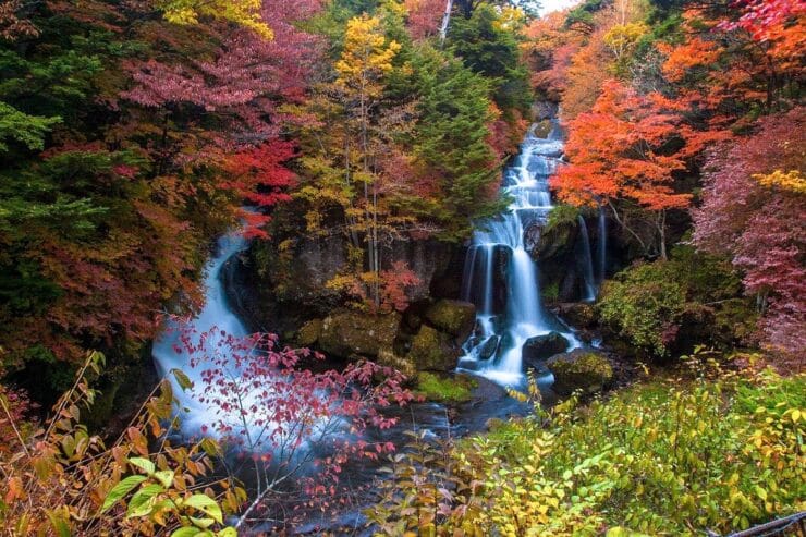 Parc national de Nikko : guide