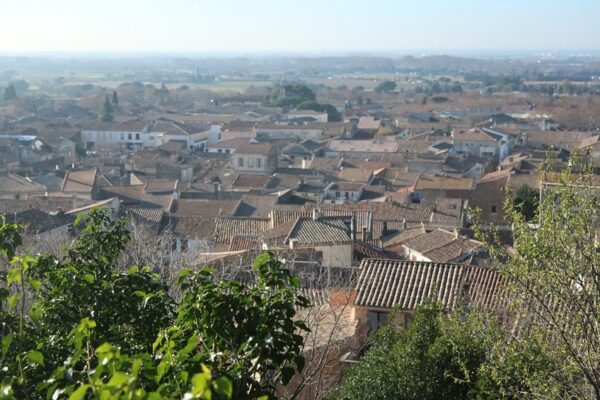 Visiter Vauvert et ses environs : que faire et que voir