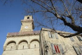 Visiter Vauvert et ses environs : que faire et que voir