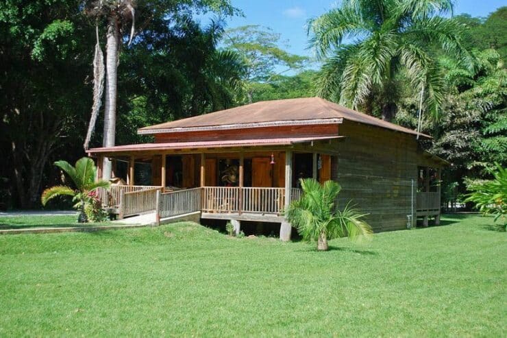 Ys Falls en Jamaïque : cascades, lagons, tyrolienne