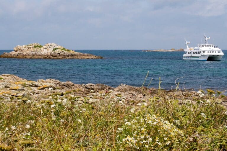 Visiter les Glénan : comment découvrir l'archipel