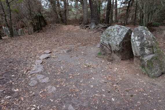 Visiter Brocéliande : forêt mythique de la légende arthurienne