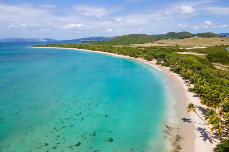 La découverte de la Martinique lors d'un road trip en voiture