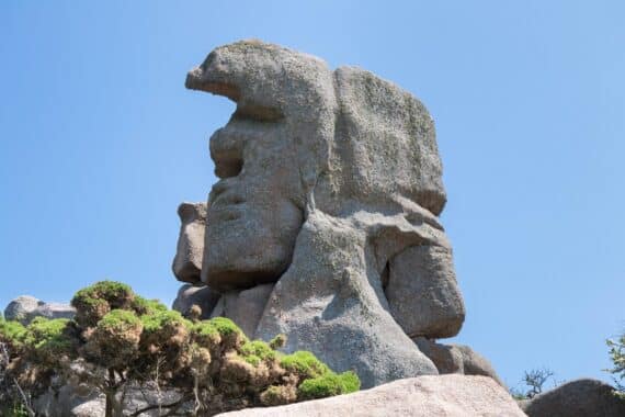 Visiter Trébeurden : que voir