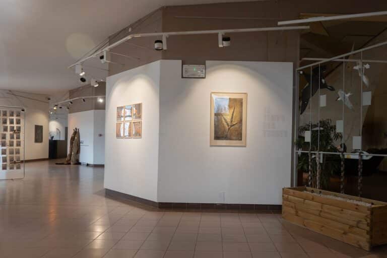 Visiter Bouzigues : le charme paisible d'un village ostréicole