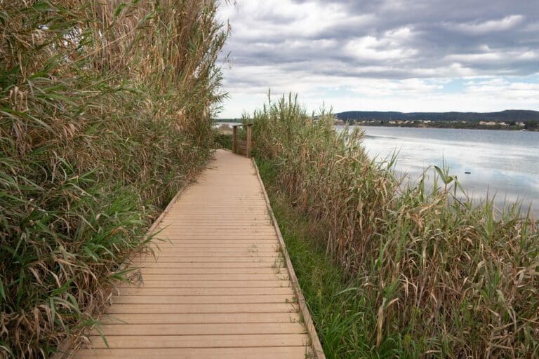 Visiter Bouzigues : le charme paisible d'un village ostréicole
